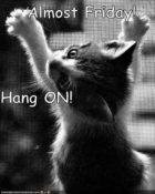 101 Funny Thursday Memes to Make You Happy All Day Long