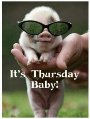 101 Funny Thursday Memes to Make You Happy All Day Long