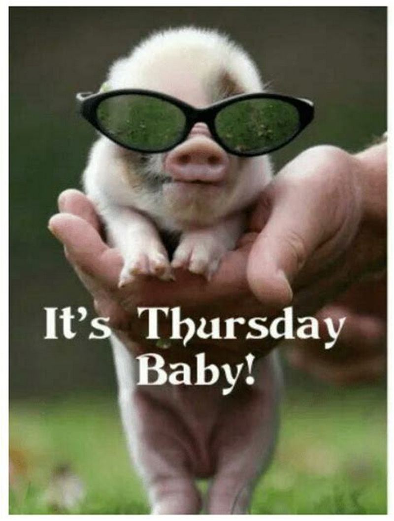 101 Funny Thursday Memes to Make You Happy All Day Long