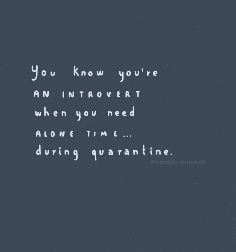 75 Funny Introvert Memes That Are Even More Hilarious in 2020