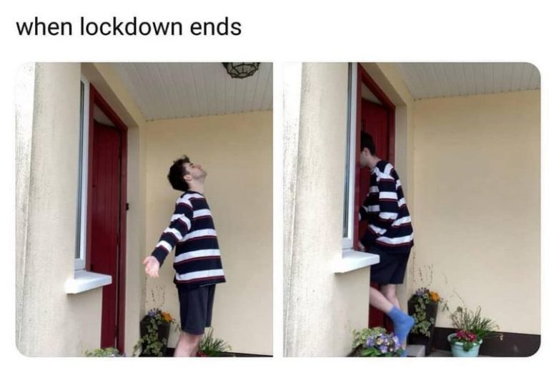 75 Funny Introvert Memes That Are Even More Hilarious in 2020