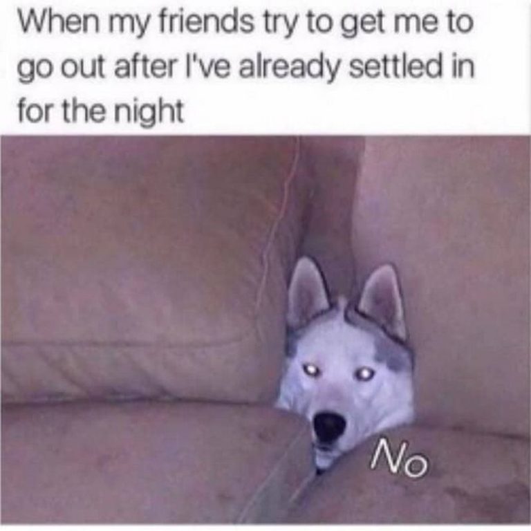 75 Funny Introvert Memes That Are Even More Hilarious in 2020