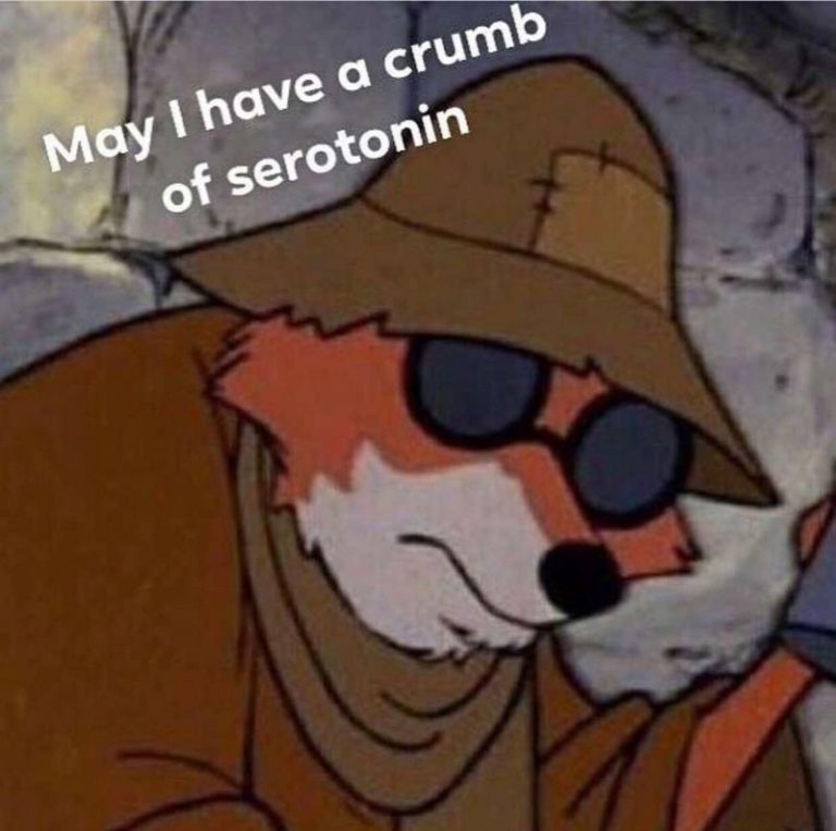 53 Sad Memes When Life Is Getting You Down and You Need a Laugh