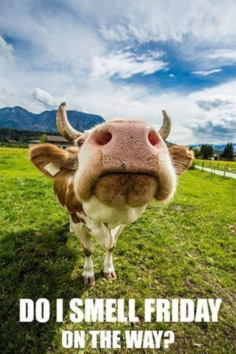 55 "Almost Friday" Memes When the Weekend Is Right Around the Corner