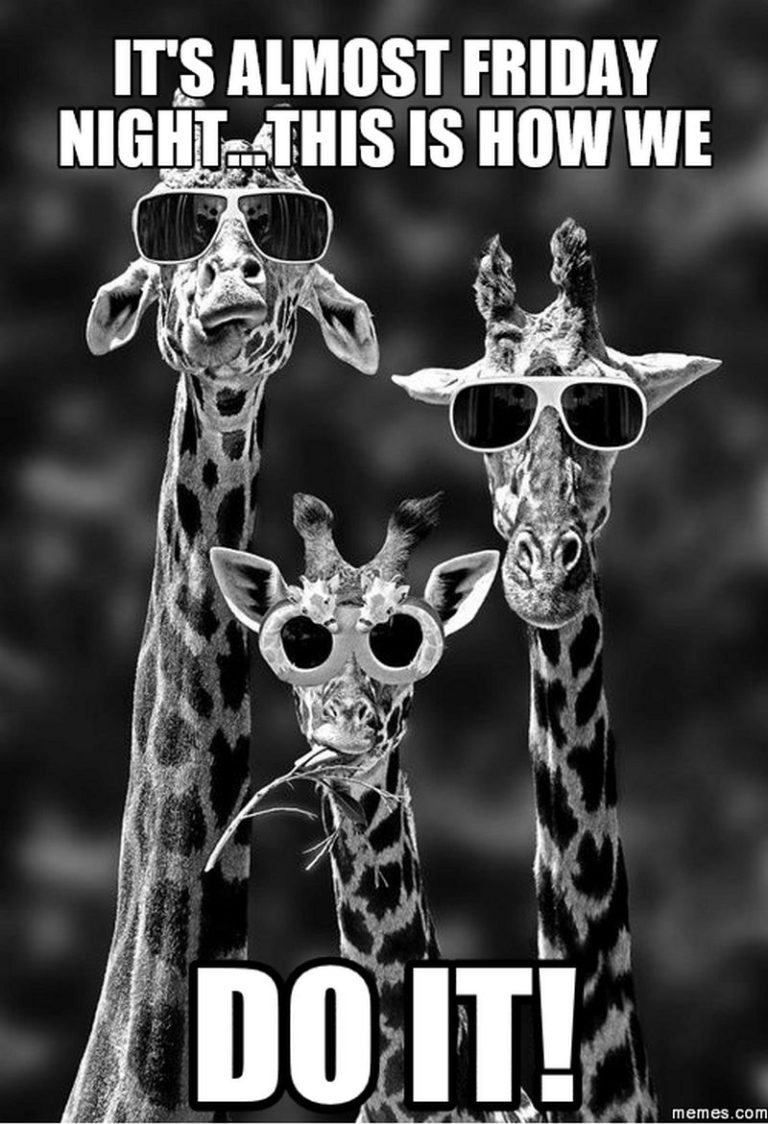 55 "Almost Friday" Memes When the Weekend Is Right Around the Corner