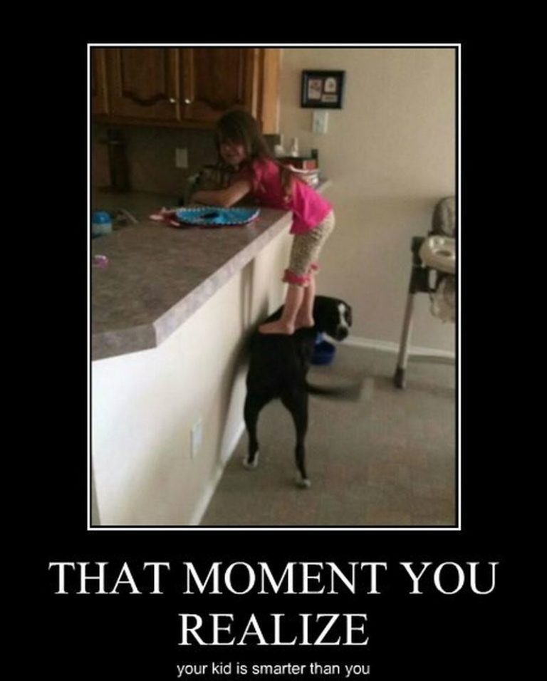 71 Funny "That Moment When You Realize" Memes