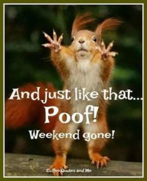 101 Funny Weekend Memes to Celebrate the End of a Long Week at Work