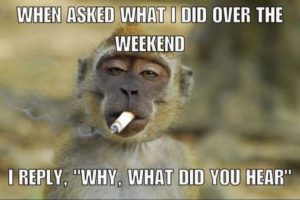 101 Funny Weekend Memes to Celebrate the End of a Long Week at Work