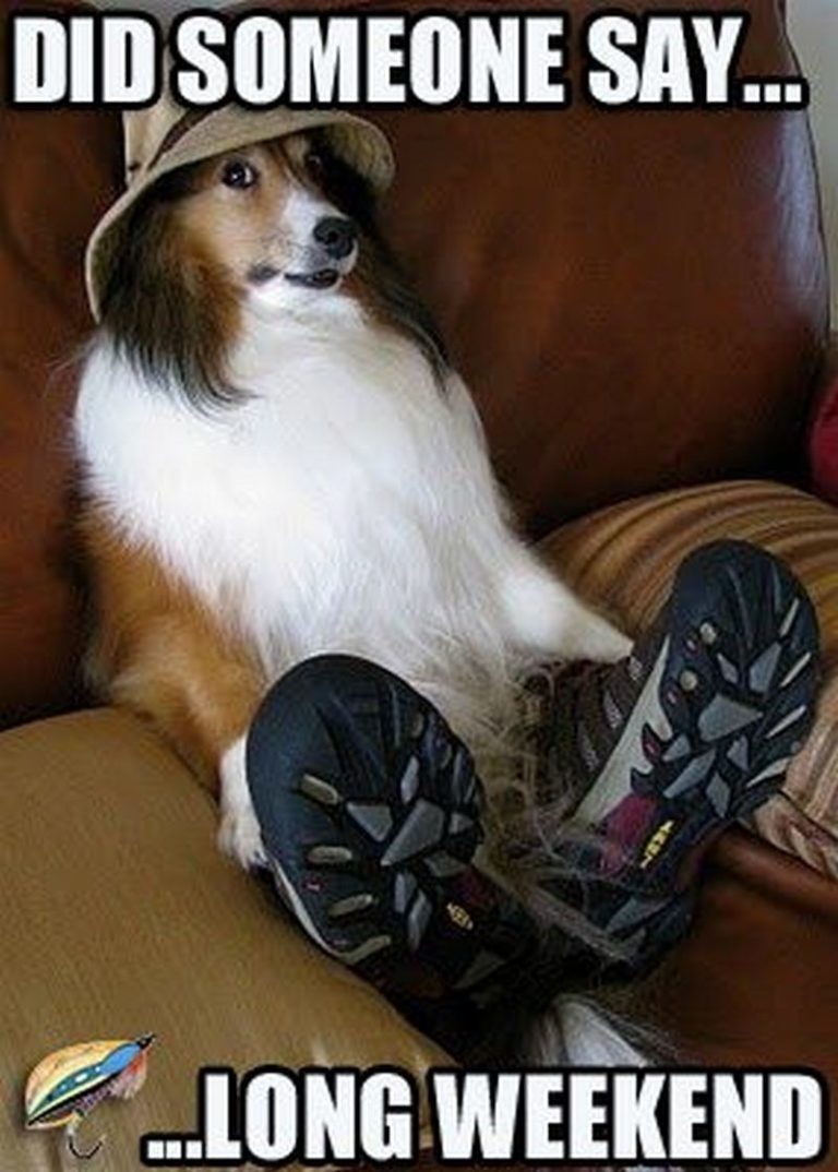 101 Funny Weekend Memes to Celebrate the End of a Long Week at Work