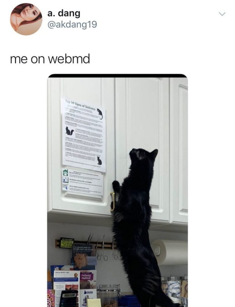 67 Funny Hypochondriac Memes That Prove Laughter Is the Best Medicine