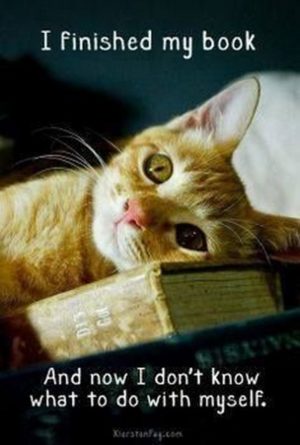 73 Funny Reading Memes That Will Make All Book Lovers Laugh