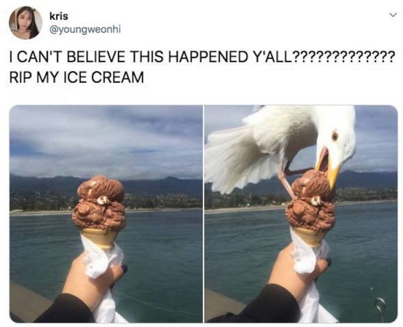 31 Funny People Experiencing Moments of Instant Regret
