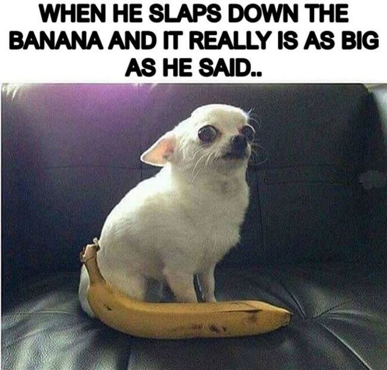 71 Adult Memes That Innocent Minds Aren't Going to Comprehend