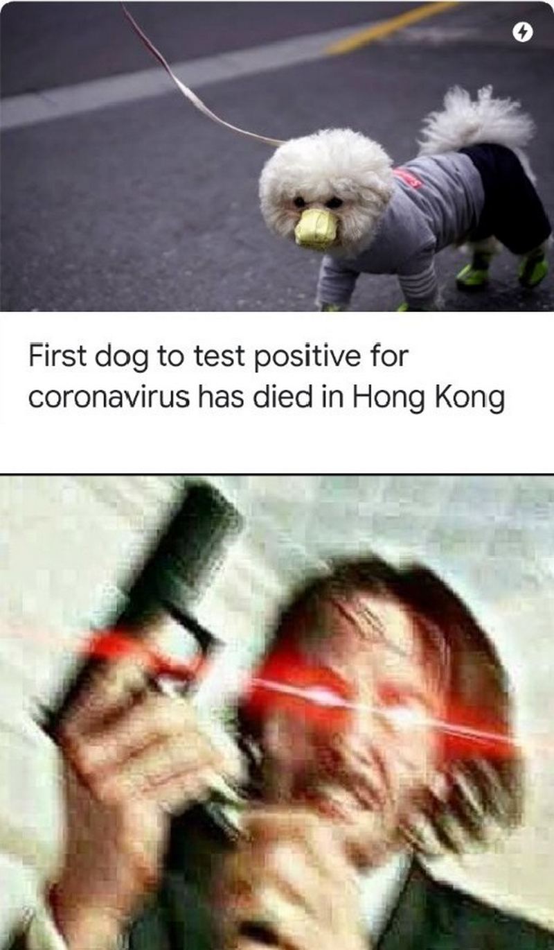 43 Angry Memes That Perfectly Expresses Your Anger