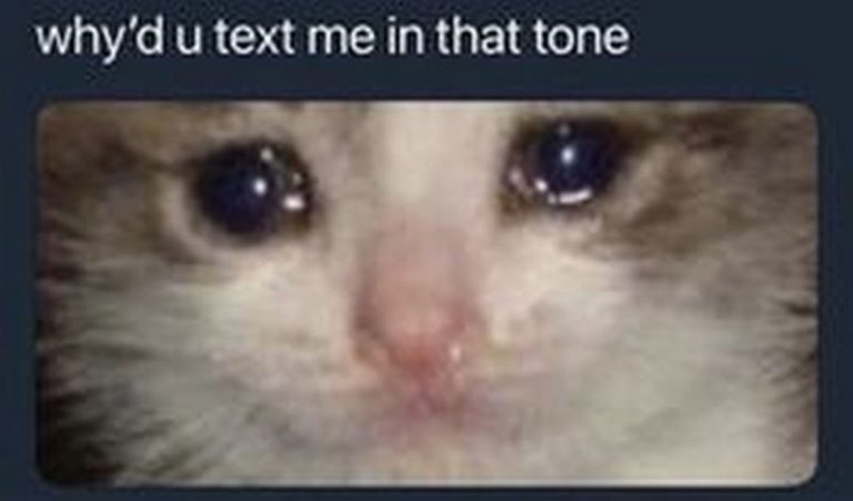 29 Funny Crying Cat Memes Will Make You All Warm and Fuzzy