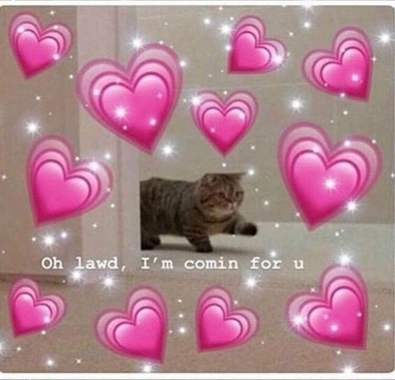 47 Wholesome Love and Affection Memes for That Special Person 47 Wholesome Love and Affection Memes for That Special Person