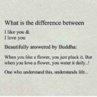 35 "I Like You" Memes for the People You Like a Lot