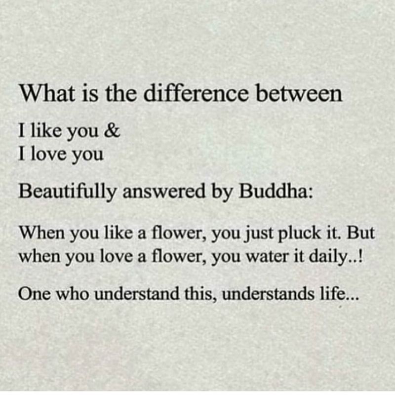 35 "I Like You" Memes for the People You Like a Lot