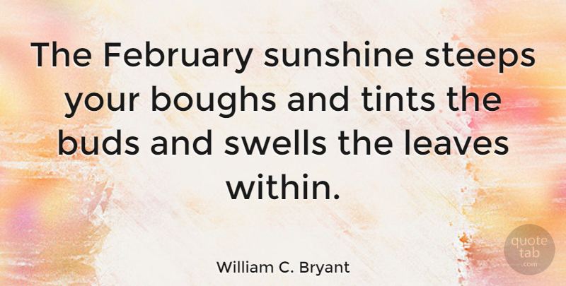 35 February Quotes for an Inspirational and Happy Welcome to 2021