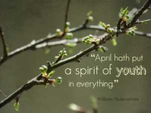 41 Rejuvenating April Quotes for a Month Full of Splendor