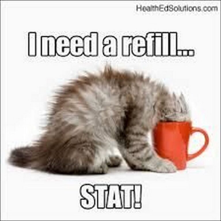 77 Morning Humor Memes and Quotes for That Perfect Early Pick-Me-Up