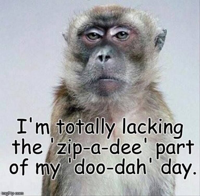 77 Morning Humor Memes and Quotes for That Perfect Early Pick-Me-Up