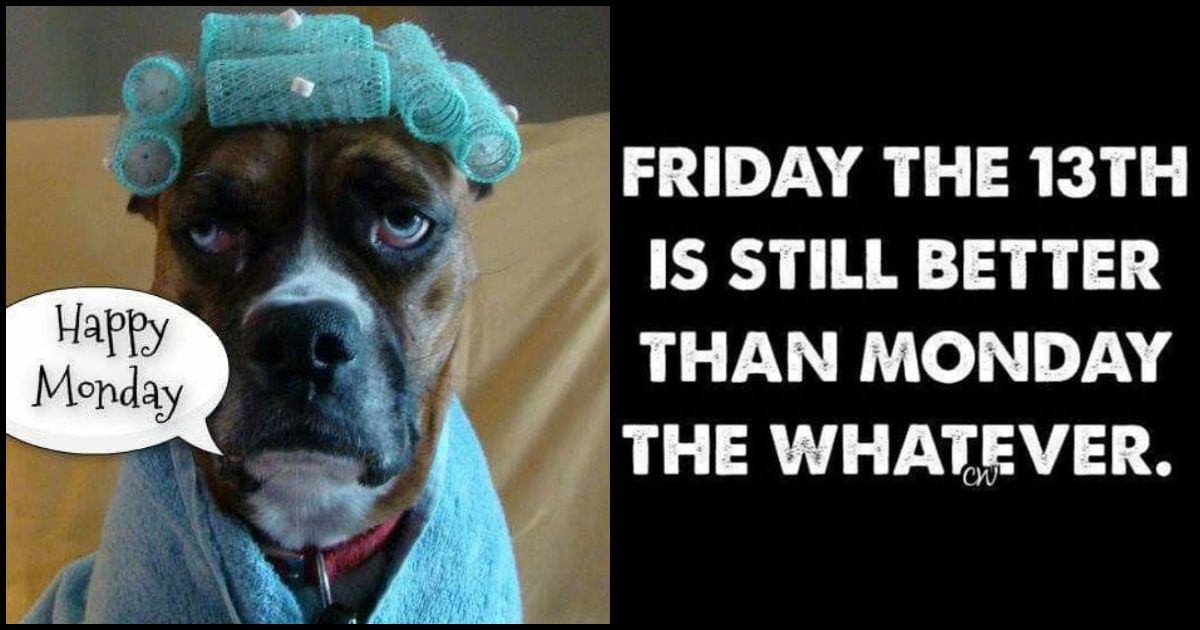 77 Morning Humor Memes and Quotes for That Perfect Early Pick-Me-Up