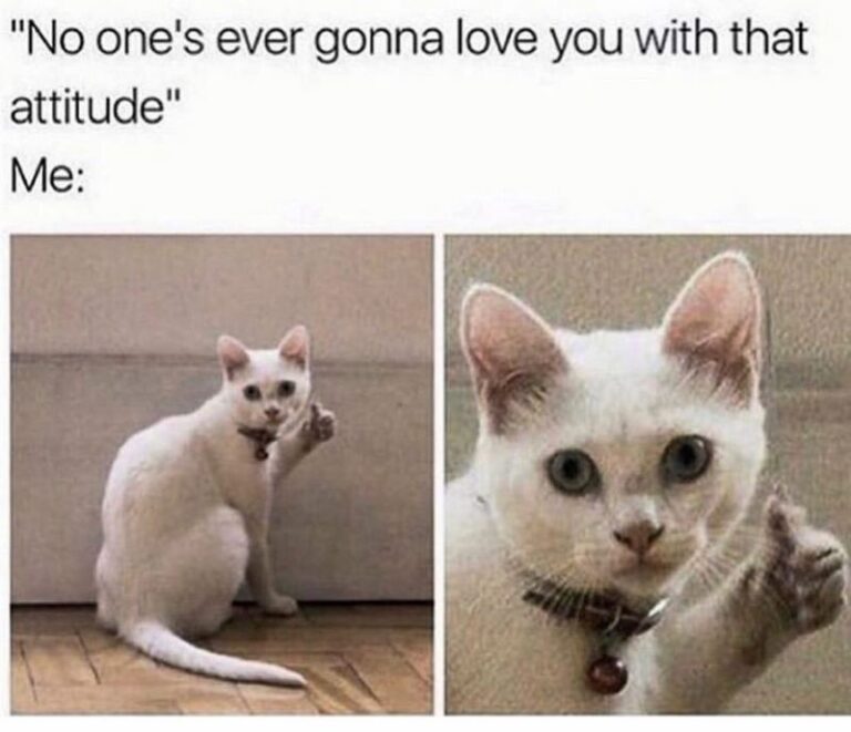 71 Flirting Memes for Him and Her When Feeling Flirty With Your Crush