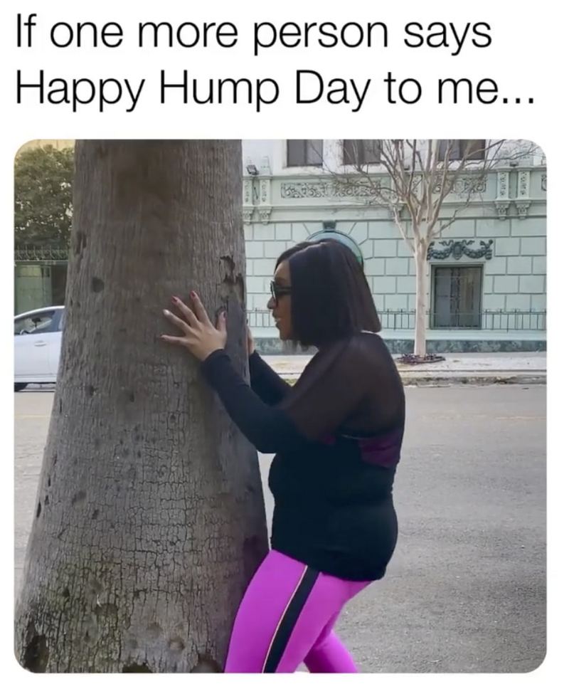 15 Funny Wednesday Memes to Make Your Hump Day a Little Better