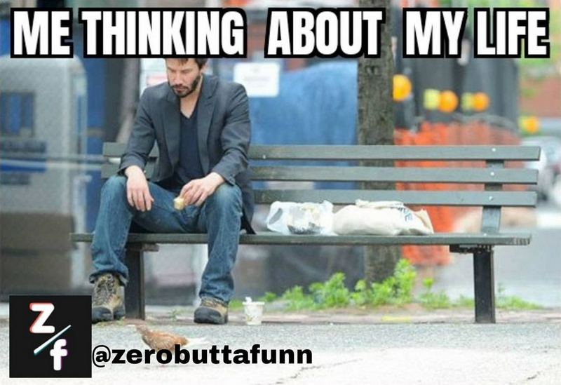 65 Funny Sarcastic Humor Memes