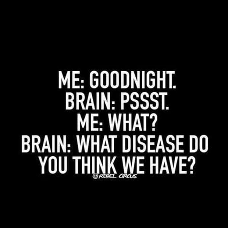 65 Funny Sarcastic Humor Memes