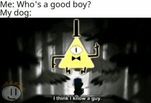 69 Clean Memes That Take Family-Friendly to a Funny New Level