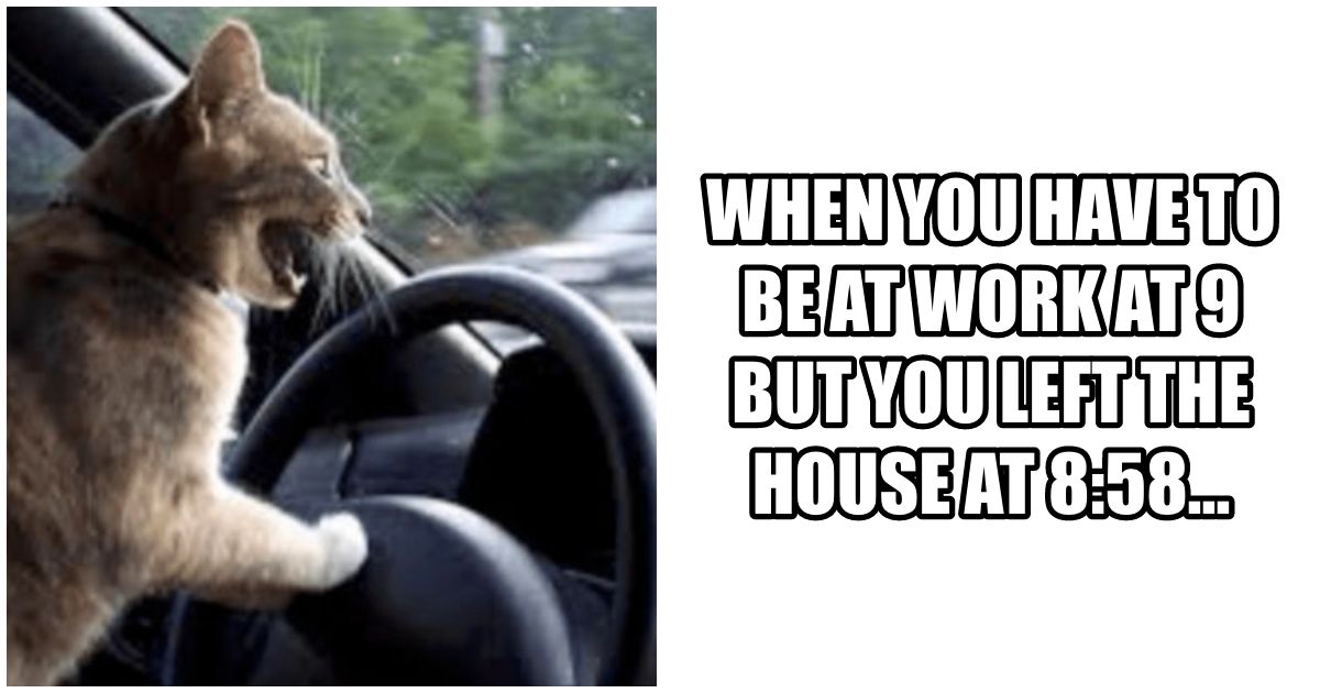 55 Funny Relatable Memes Just for You