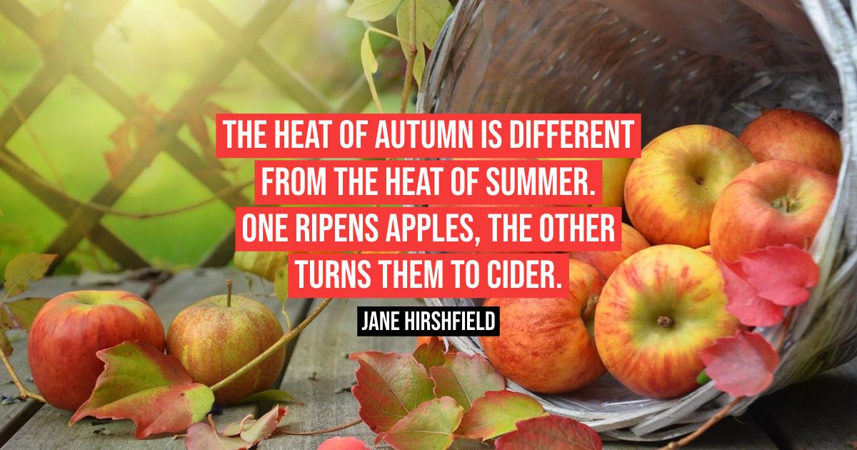 35 Wonderful Fall Season Quotes