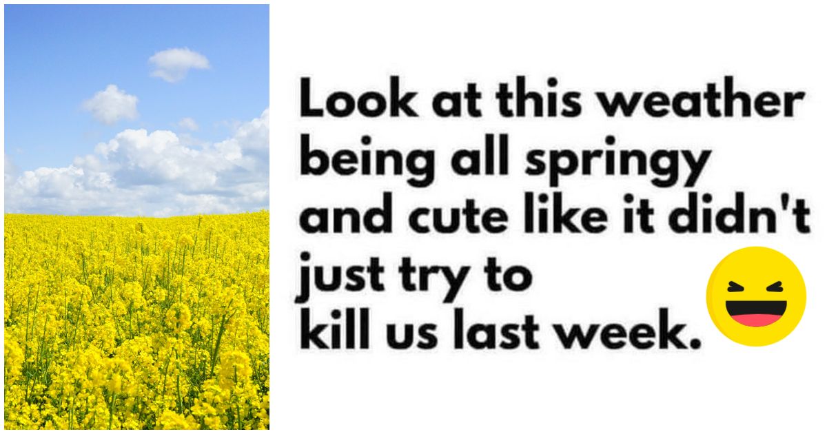 45 Spring Memes When You’d Love a Break From the Cold