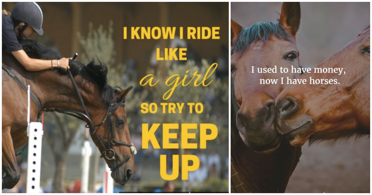 45 Horse Memes Guaranteed to Make You Smile