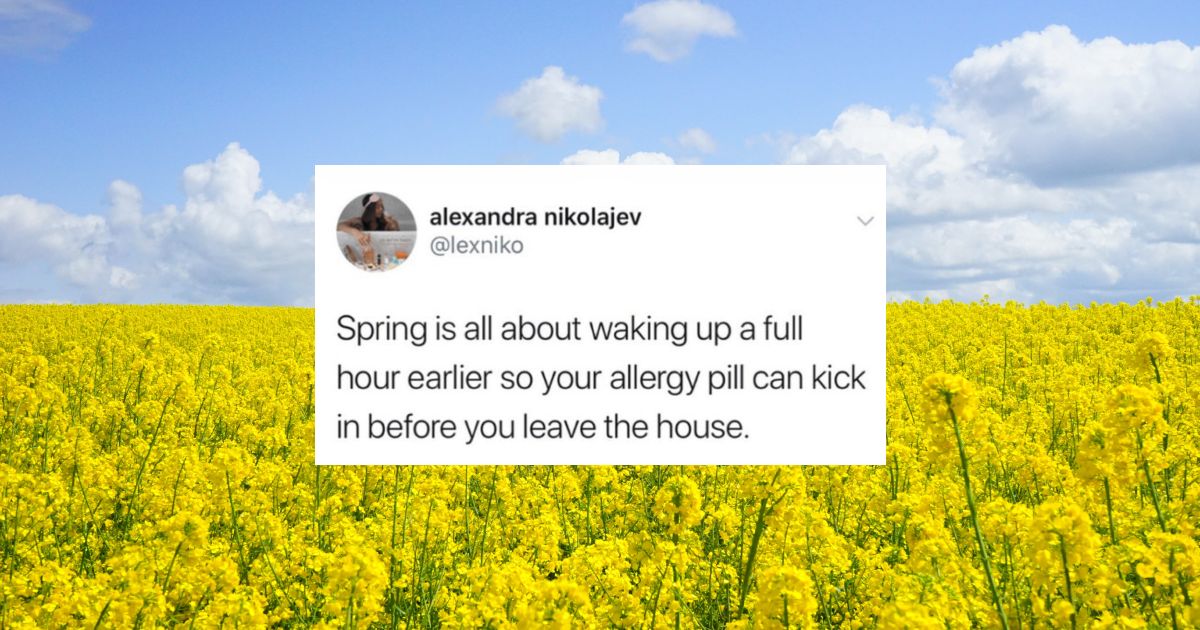 49 Funny Allergy Memes Uniting Laughter and Sniffles