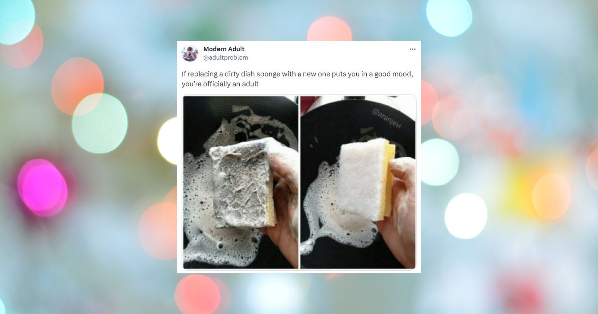 27 Funny Adulting Memes to Make You Laugh and Relate